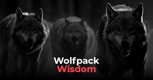 Subscribe to Wolfpack Wisdom | Howl Newsletter